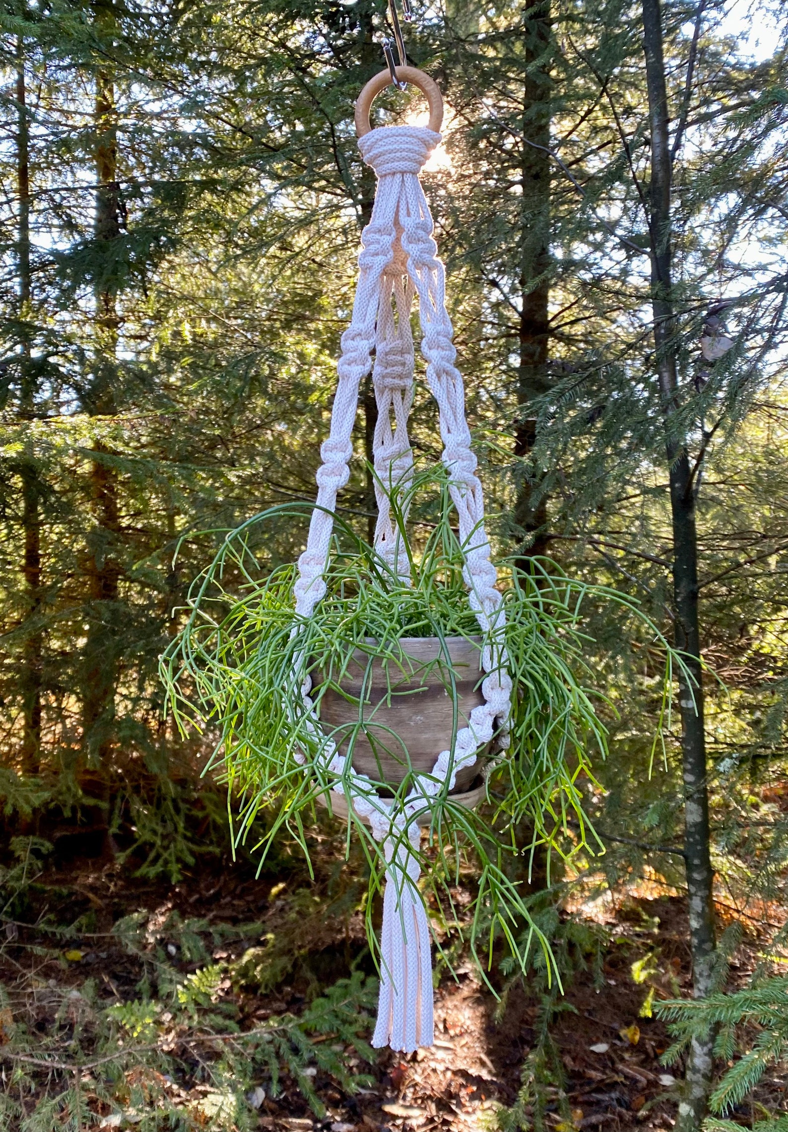 3 Small Macrame Plant Hangers PDF Pattern DIY Macrame 3 - Etsy