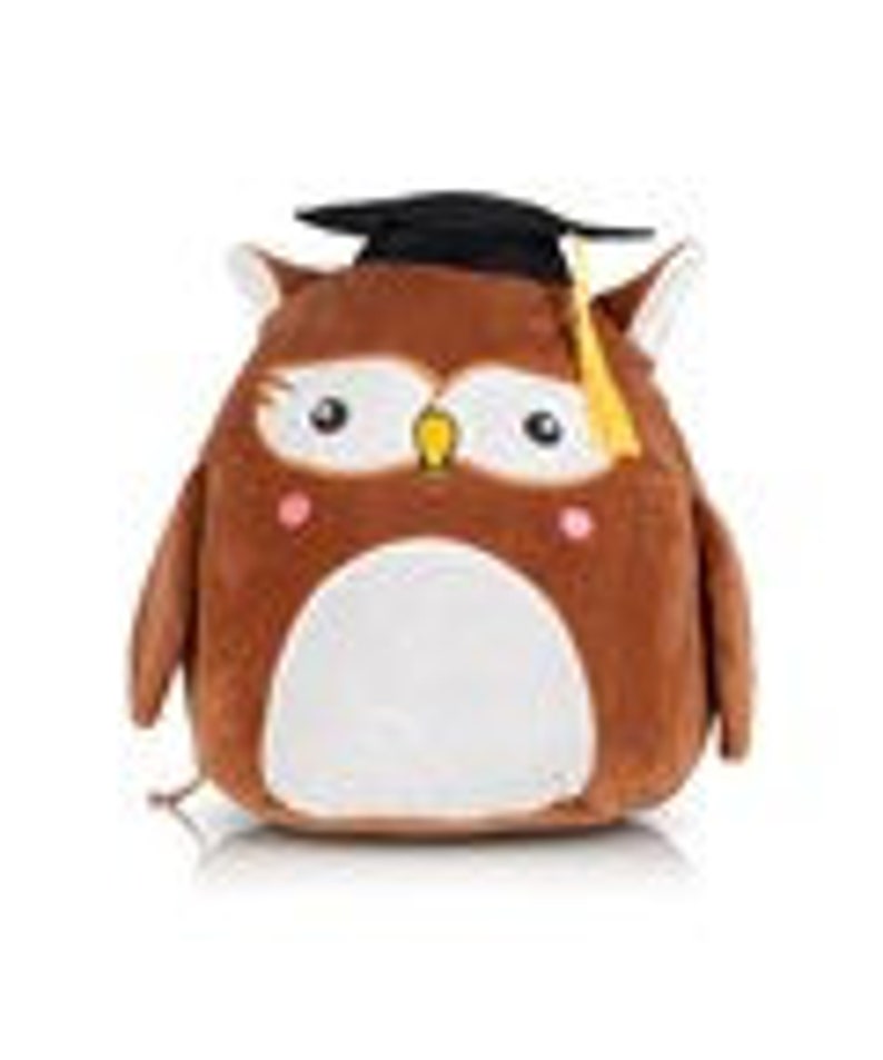 Personalized Graduation Owl Plush, 2025 Leavers Gift - Etsy