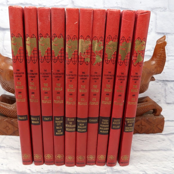 Illustrated Library - Etsy