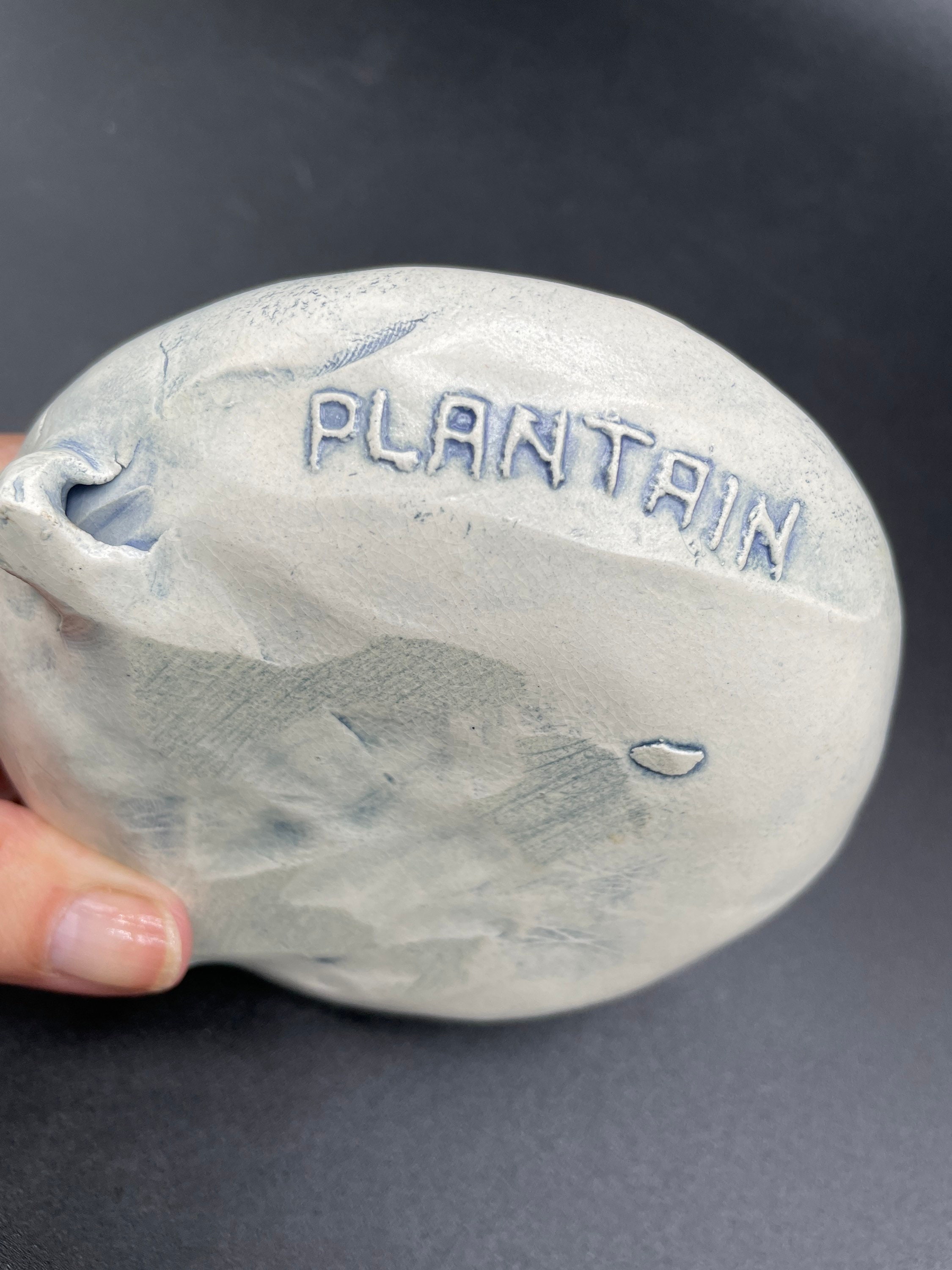 Vintage Salt Marsh Pottery Plantain Bowl, Green, Hanging Wall Art ...