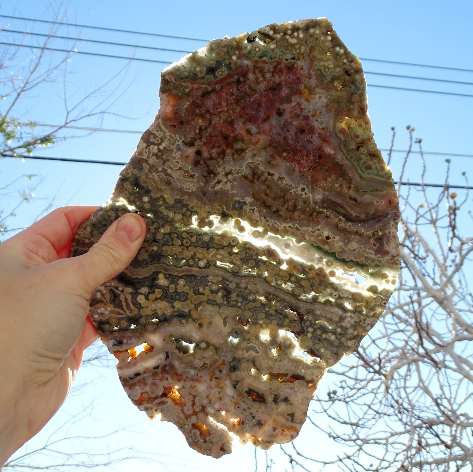 Premium Ocean Jasper Slab Red Green Ocean Jasper Old Stock - Etsy