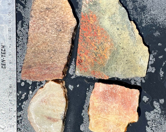 Real Agatized Dino Bone Slabs Lot, Uncut Dinosaur Bone Parcel ...