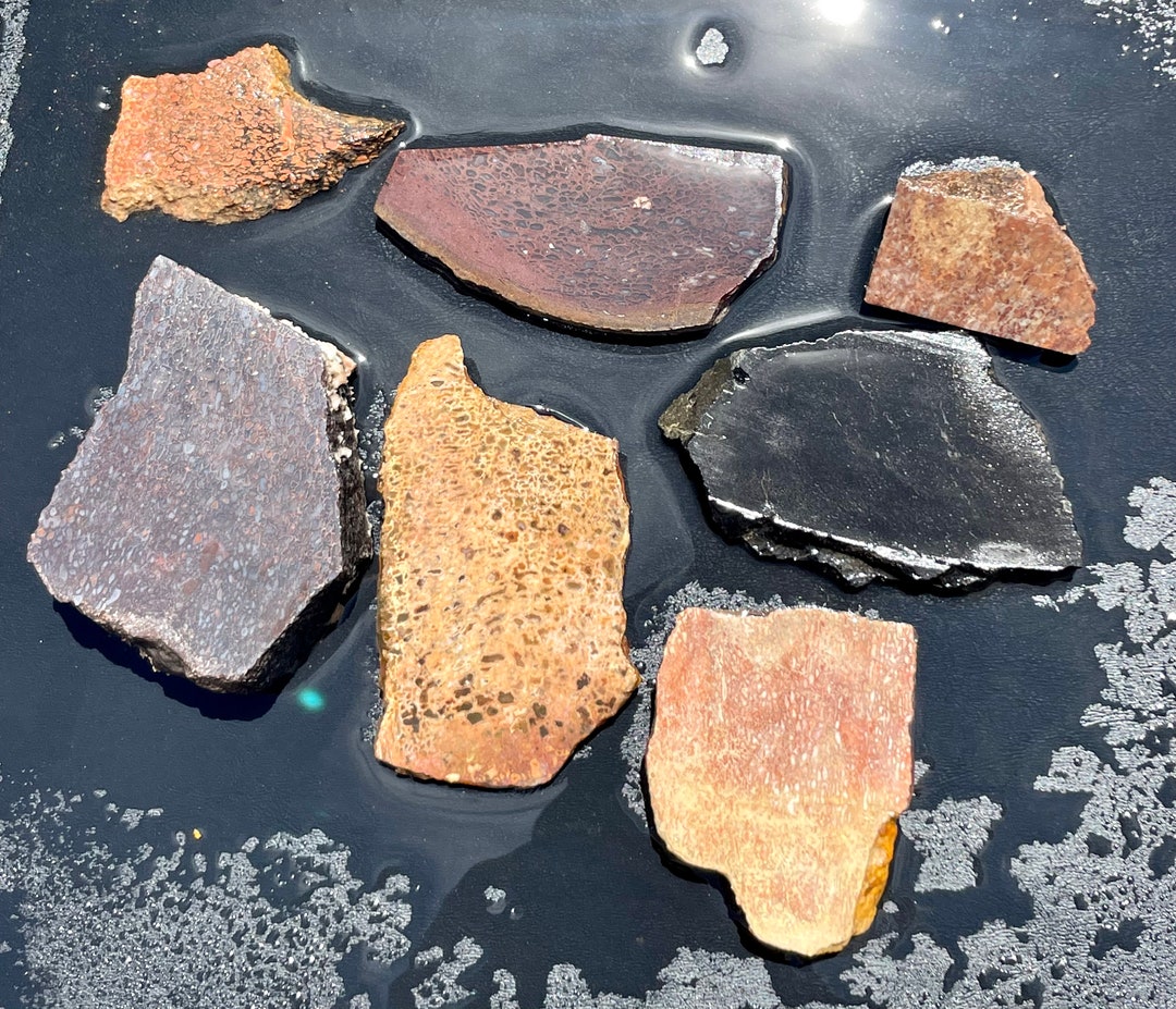 Real Agatized Dino Bone 7 Piece Parcel, Uncut Dinosaur Bone Lot ...