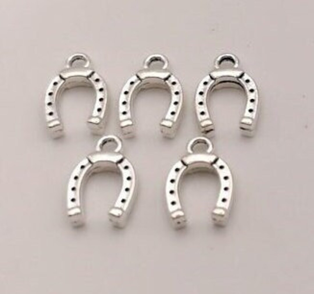 X 5 Horseshoes 14 X 9 Mm in Silver Metal - Etsy