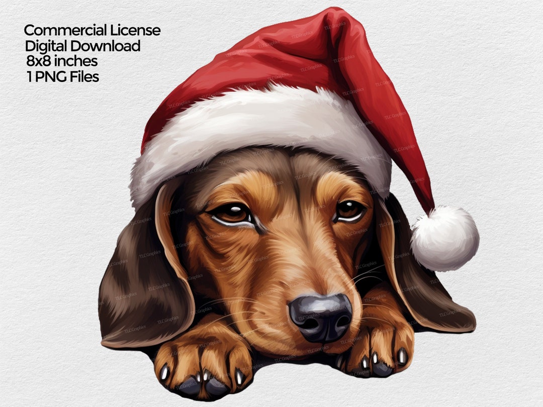 Dachshund With a Santa Hat Clipart, Dachshund Christmas PNG File ...