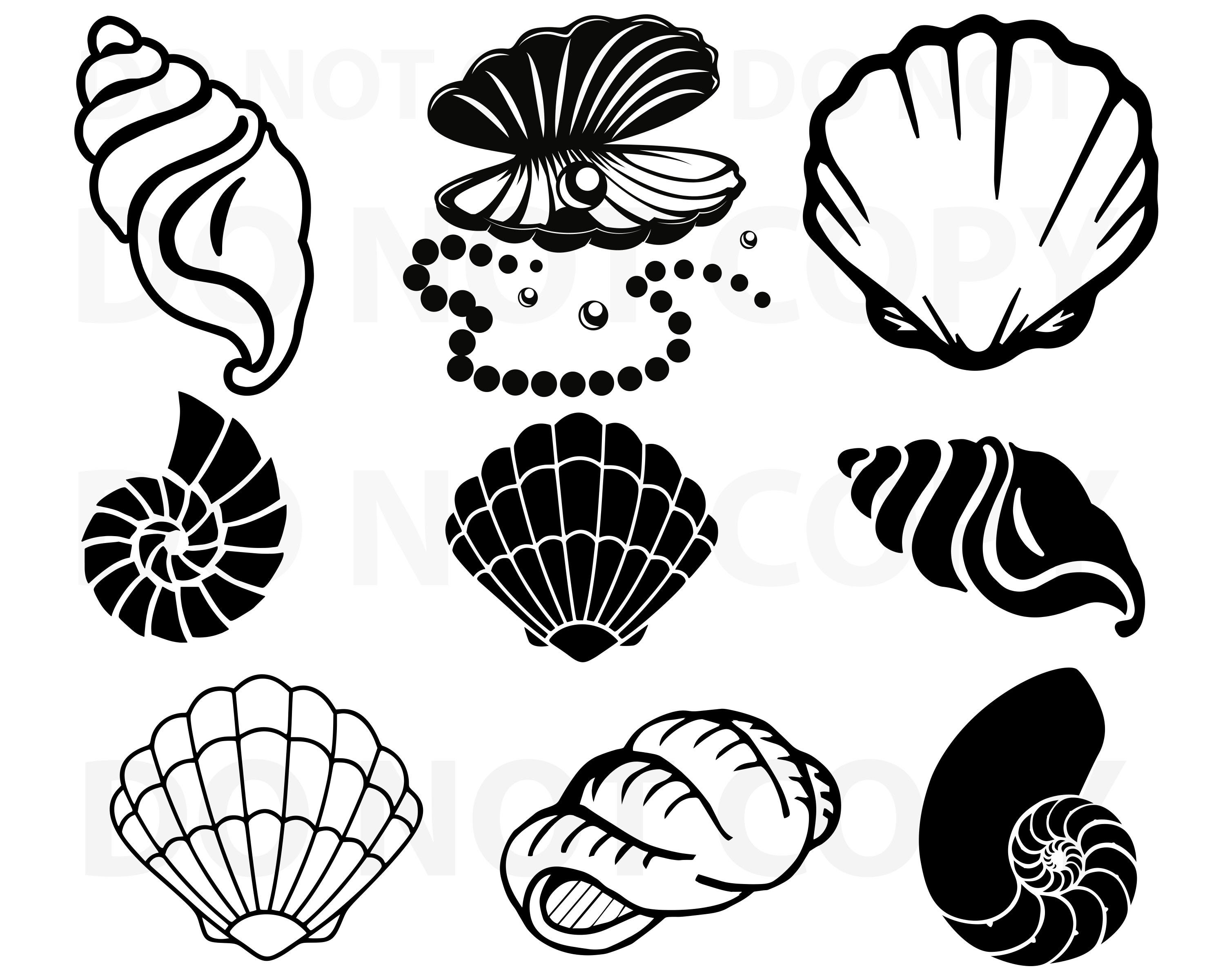 Sea Shell SVG Bundle Conch Svg File for Cricut Scallop Svg - Etsy