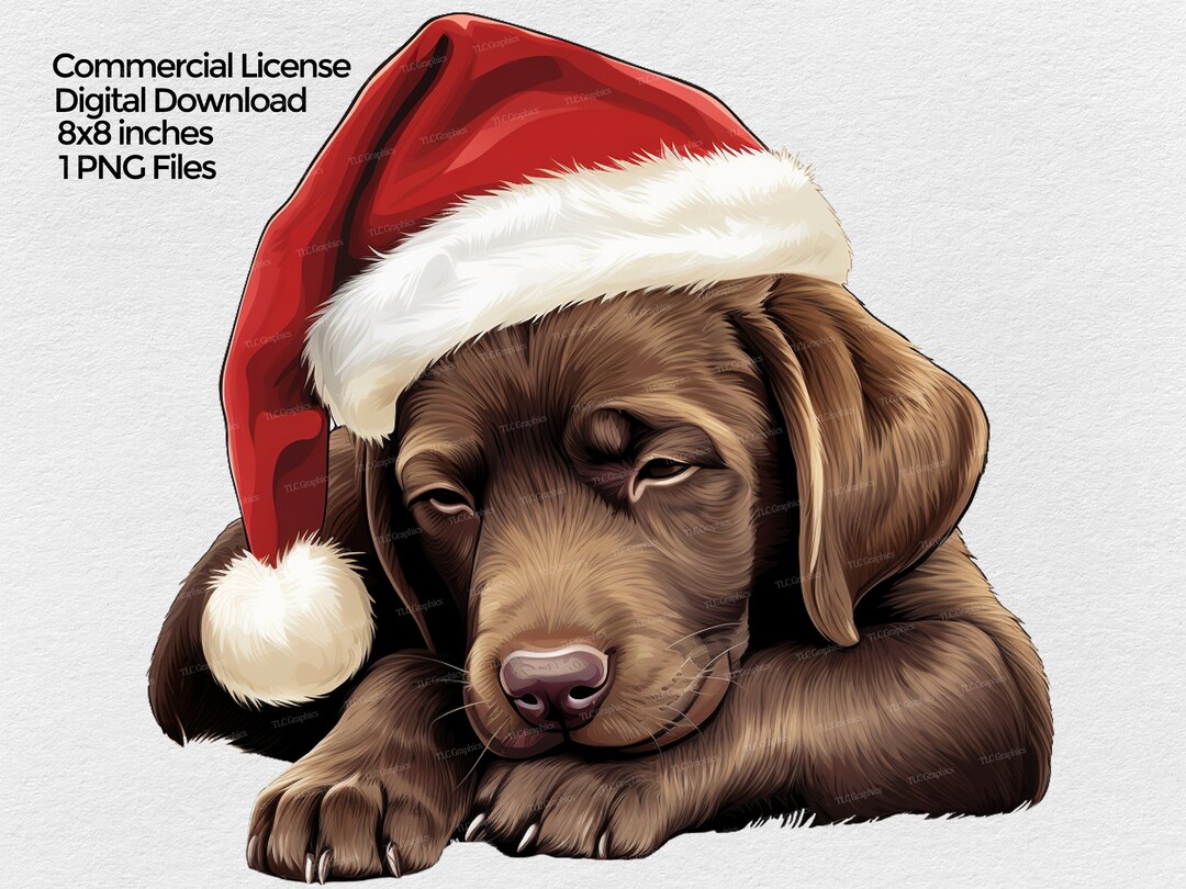 Sleeping Labrador Retriever With a Santa Hat Clipart, Labrador ...