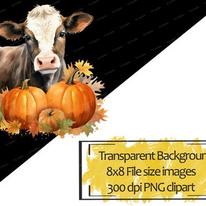 Cow With Pumpkins Watercolor Png Clipart, Farm Cow Fall Png Image for ...