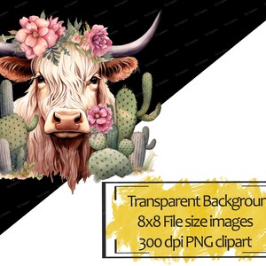 Highland Cow With Cactus Flowers Watercolor Clipart, Png Image for ...
