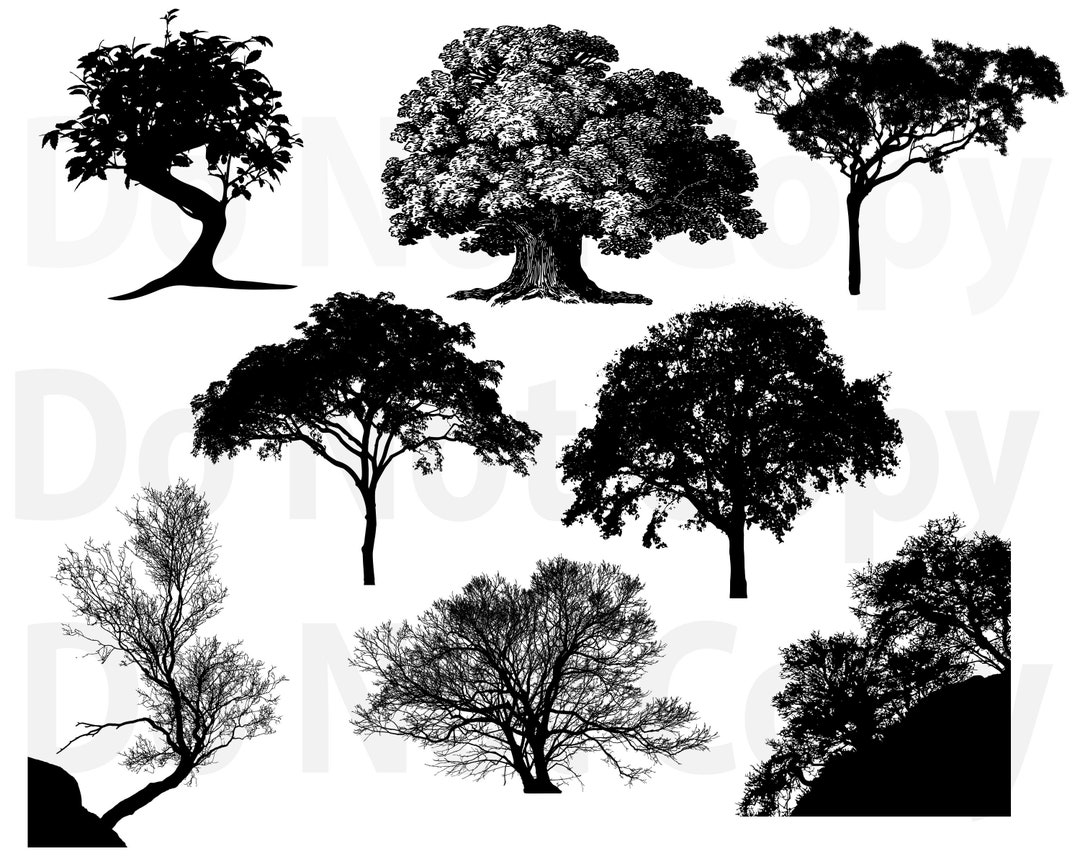 Trees SVG Bundle, Oak Tree Svg File for Cricut, Bonsai Landscape Design ...