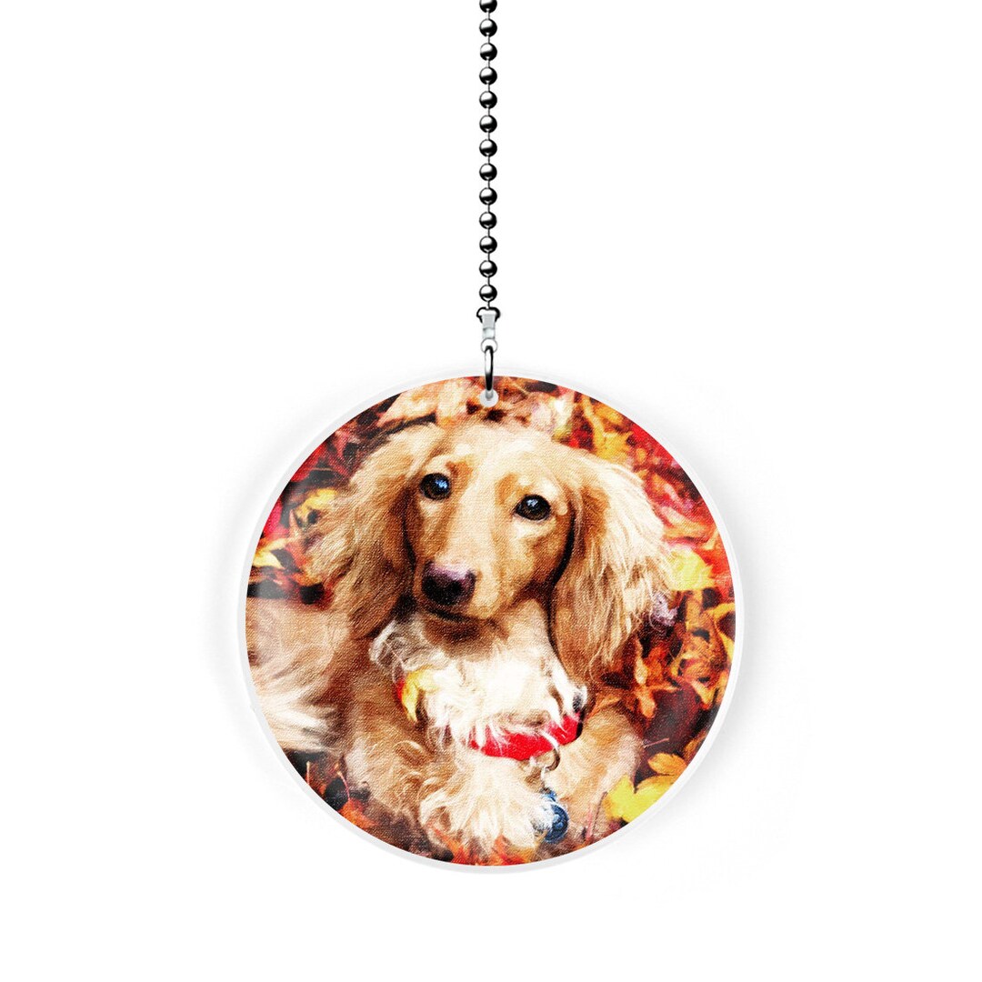Autumn Dachshund Fan Pull / Light Pull - Etsy