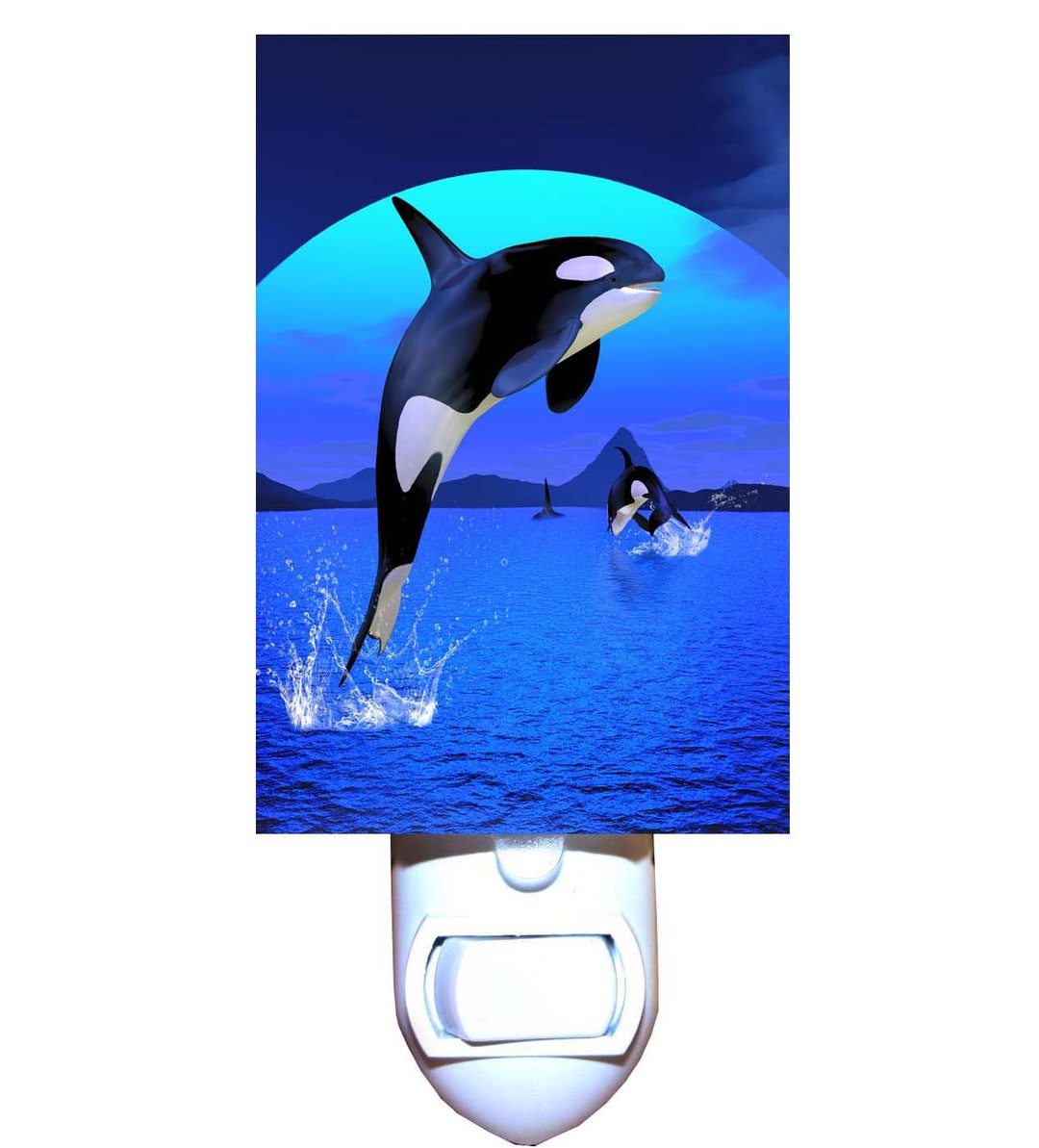 Orca Splash Decorative Night Light - Etsy