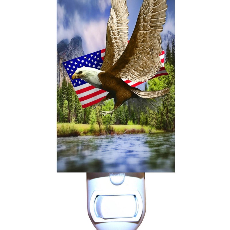 Bald Eagle Wall Light - Etsy