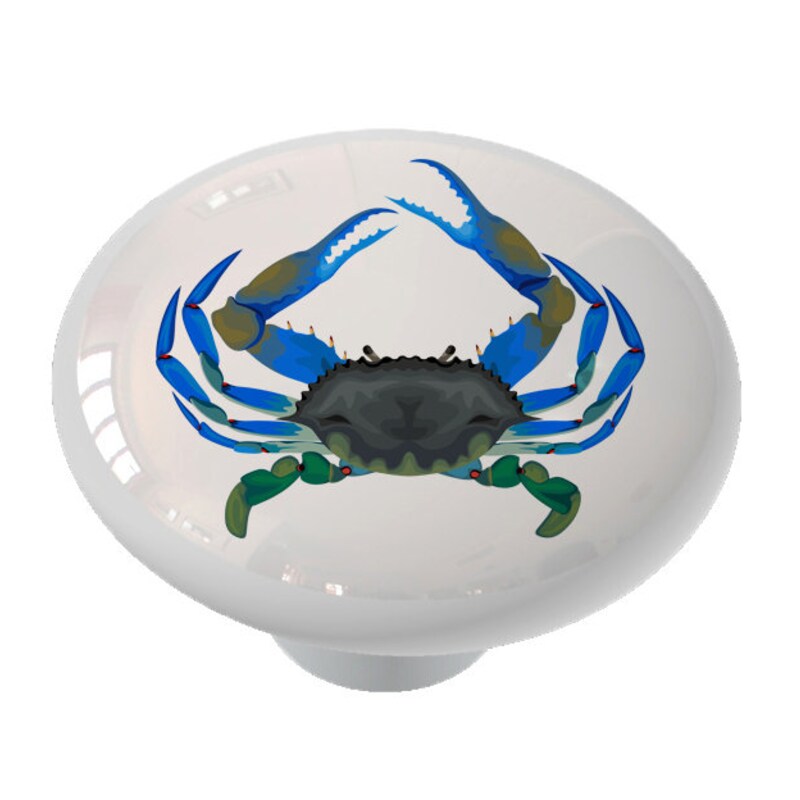 Coastal Drawer Knobs - Etsy