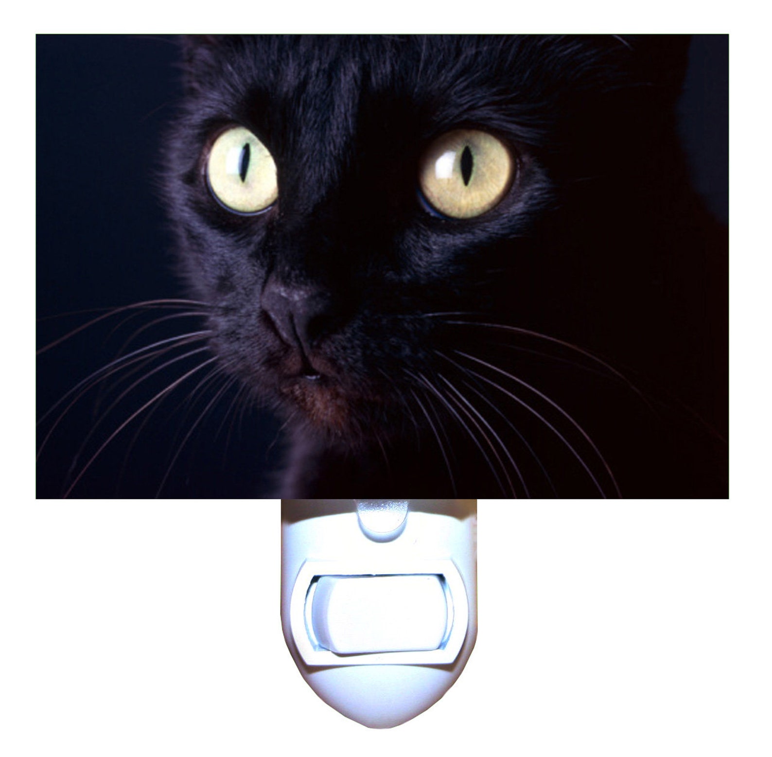 Midnight Black Cat Decorative Night Light - Etsy