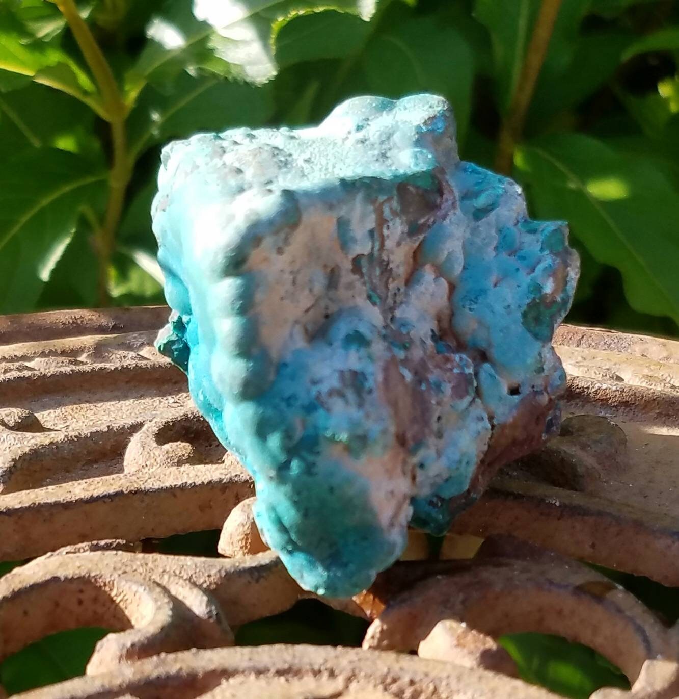 Congo Cornetite With Chrysocolla Mineral Raw Gemstone Speciman - Etsy