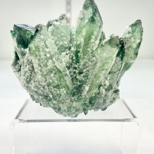 Large Green Quartz Crystal Cluster Ghost Phantom Rare W/stand Mineral ...