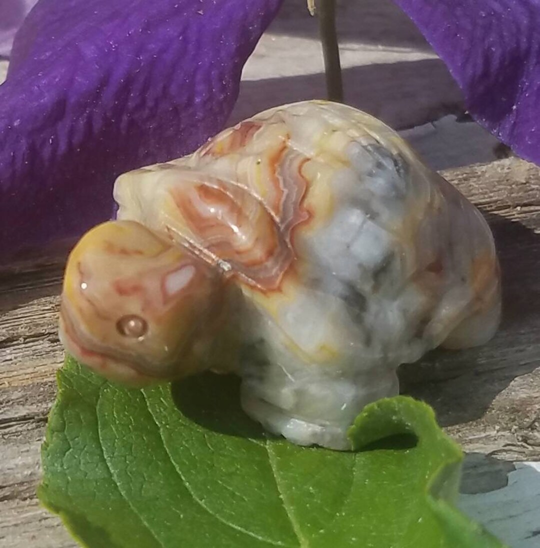 Mystical Crazy Lace Crystal Turtle Totem Statue Spirt Animal Sea ...