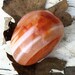 Large Carnelian Agate Palmstone Geode Natural Prosperity Reiki - Etsy