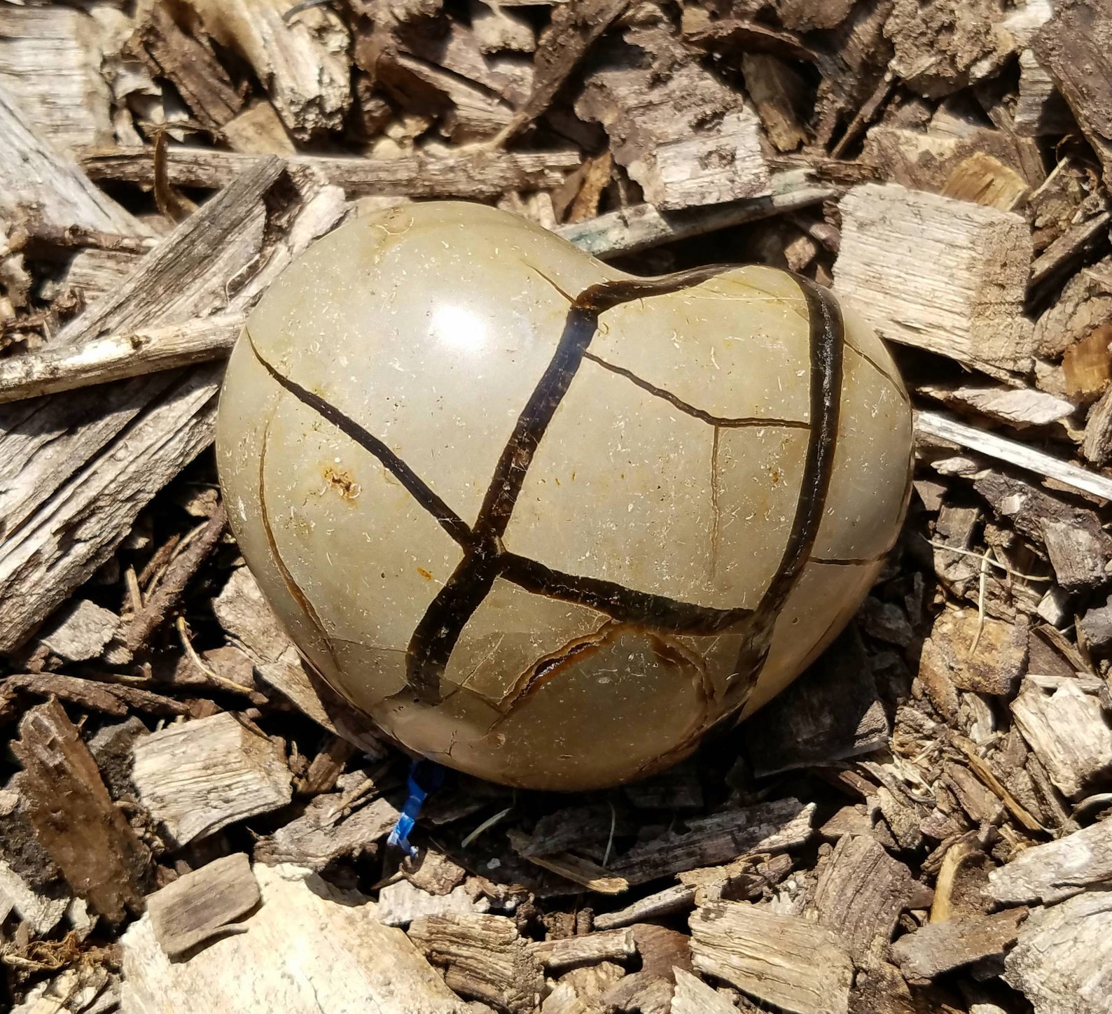 Glistening Septarian Druzy Dragon Stone Crystal Heart Raw - Etsy