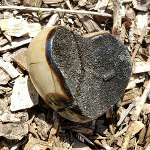 Glistening Septarian Druzy Dragon Stone Crystal Heart Raw - Etsy