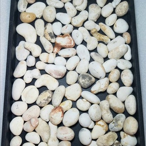 1 Pound Wholesale Goddess Stone Fairy Stone Menilite Opal Concretion ...
