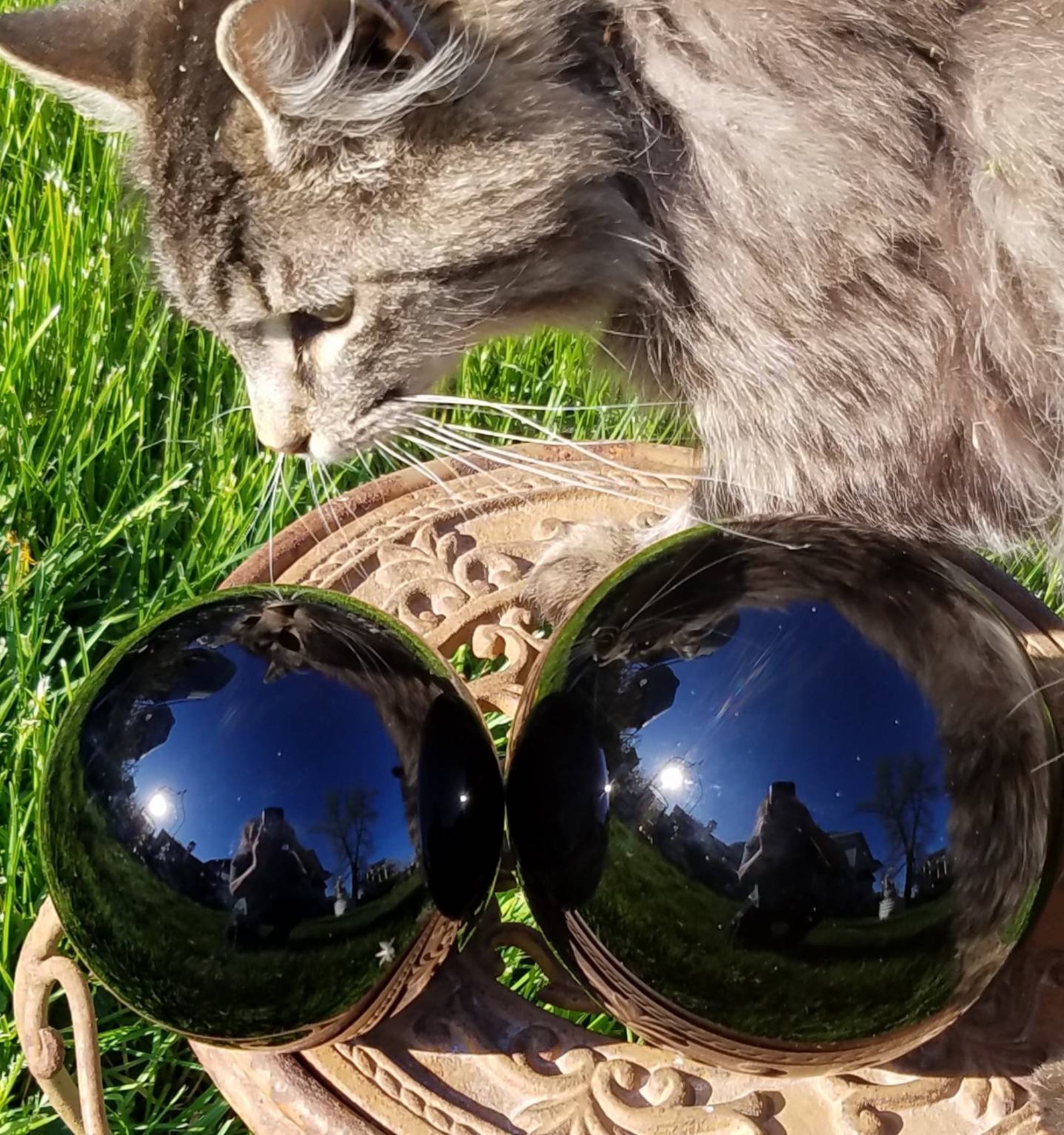 120mm Large Black Obsidian Sphere Crystal Ball Orb Scrying - Etsy