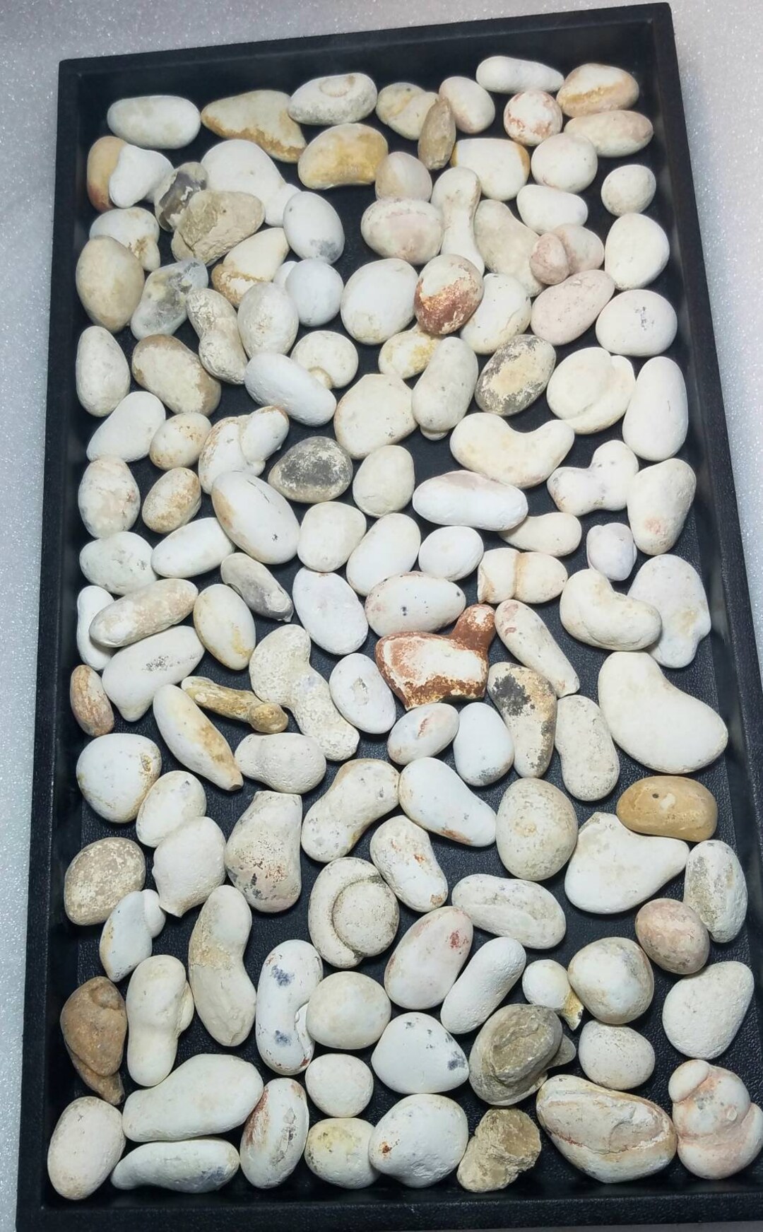 1 Pound Wholesale Goddess Stone Fairy Stone Menilite Opal Concretion ...