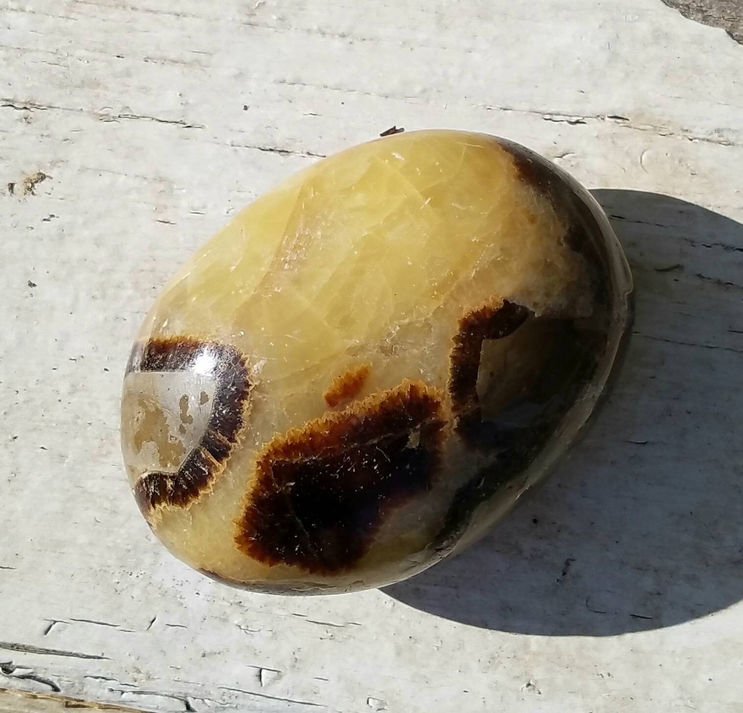 Septarian Palmstone Pocket Crystal Healing Metaphysical Septarian ...