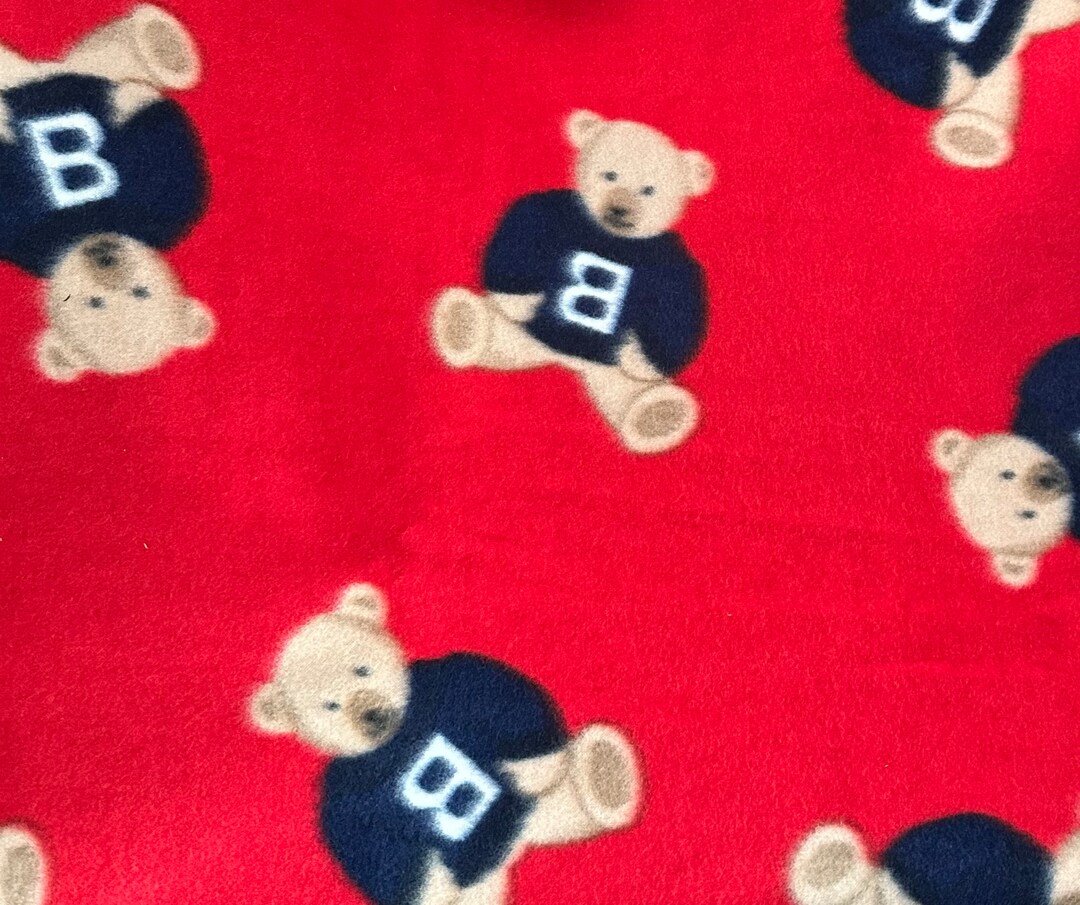 Teddy Bear Baby Fleece Fabric, Sweater Bear Blanket Fleece, Fabric ...
