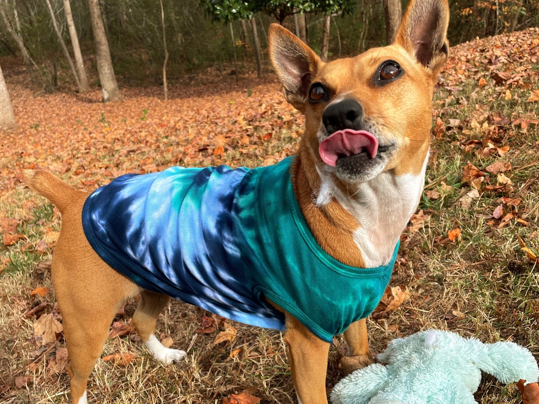 Hand-dyed Tie Dye Doggie Shirts - Etsy