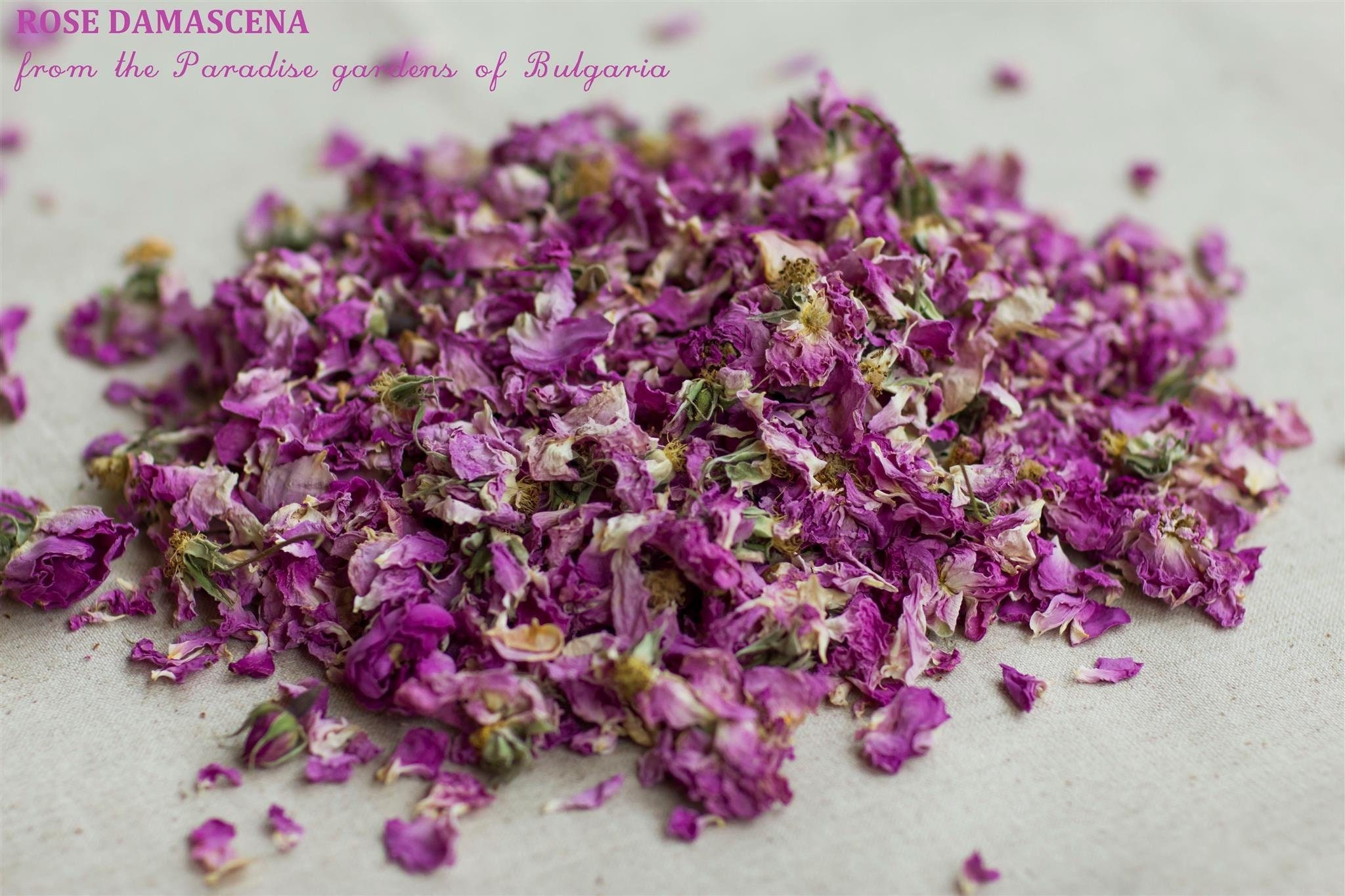 Organic Dried Petals Bulgarian Rose | Tea | Bulk Herbs - Etsy