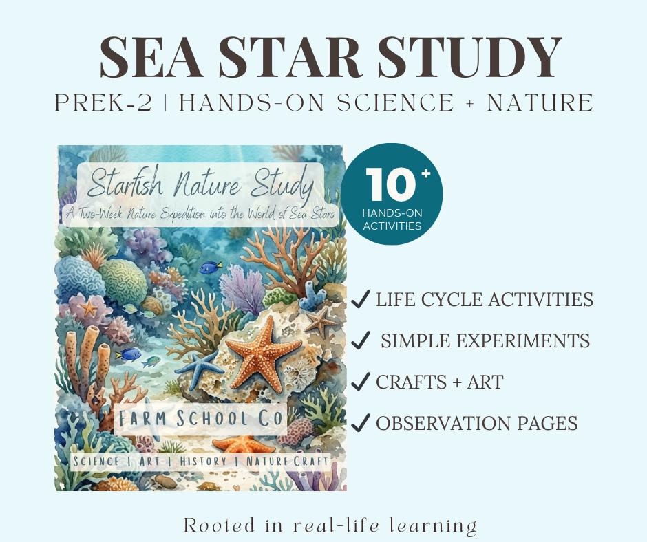 Starfish Activities for Kids | Sea Star Unit Study | Ocean Science ...