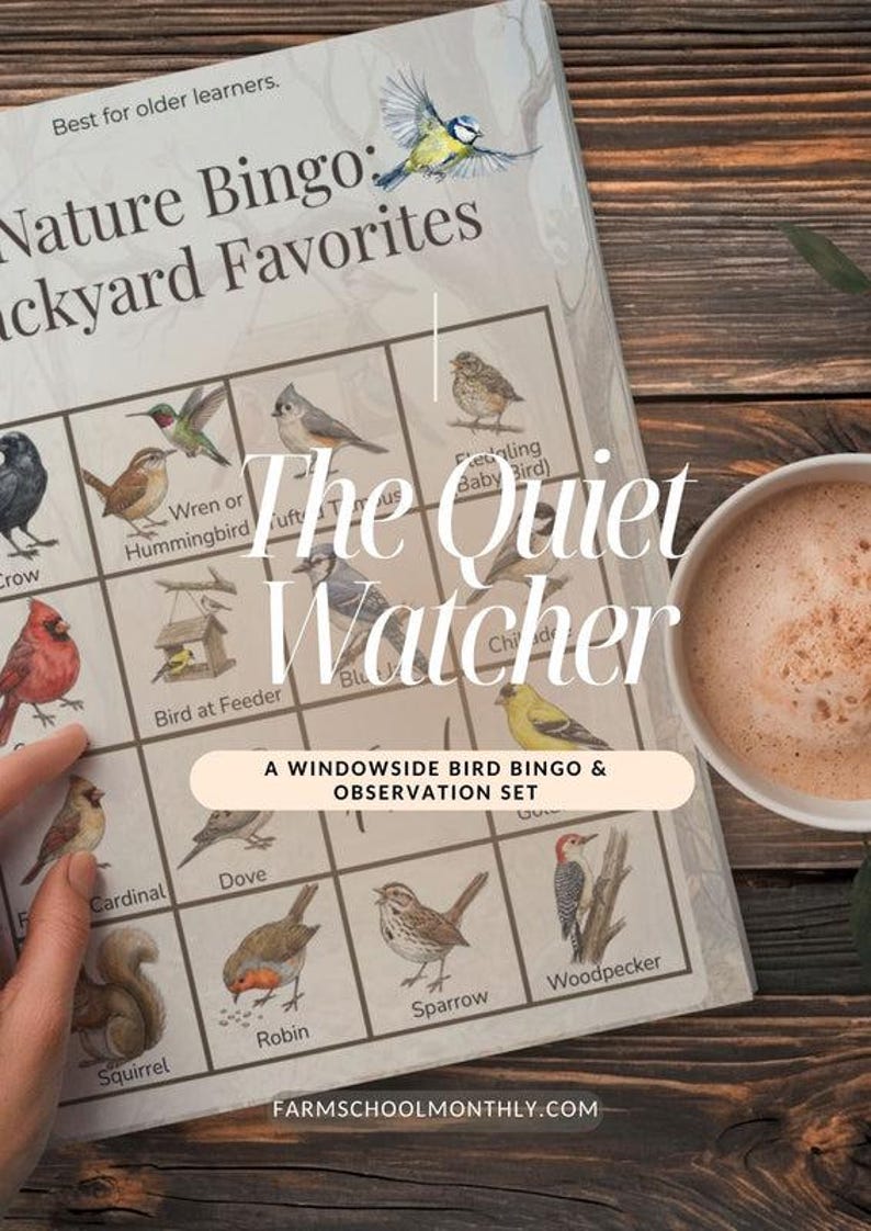 Windowside Bird Bingo & Observation Set - Etsy
