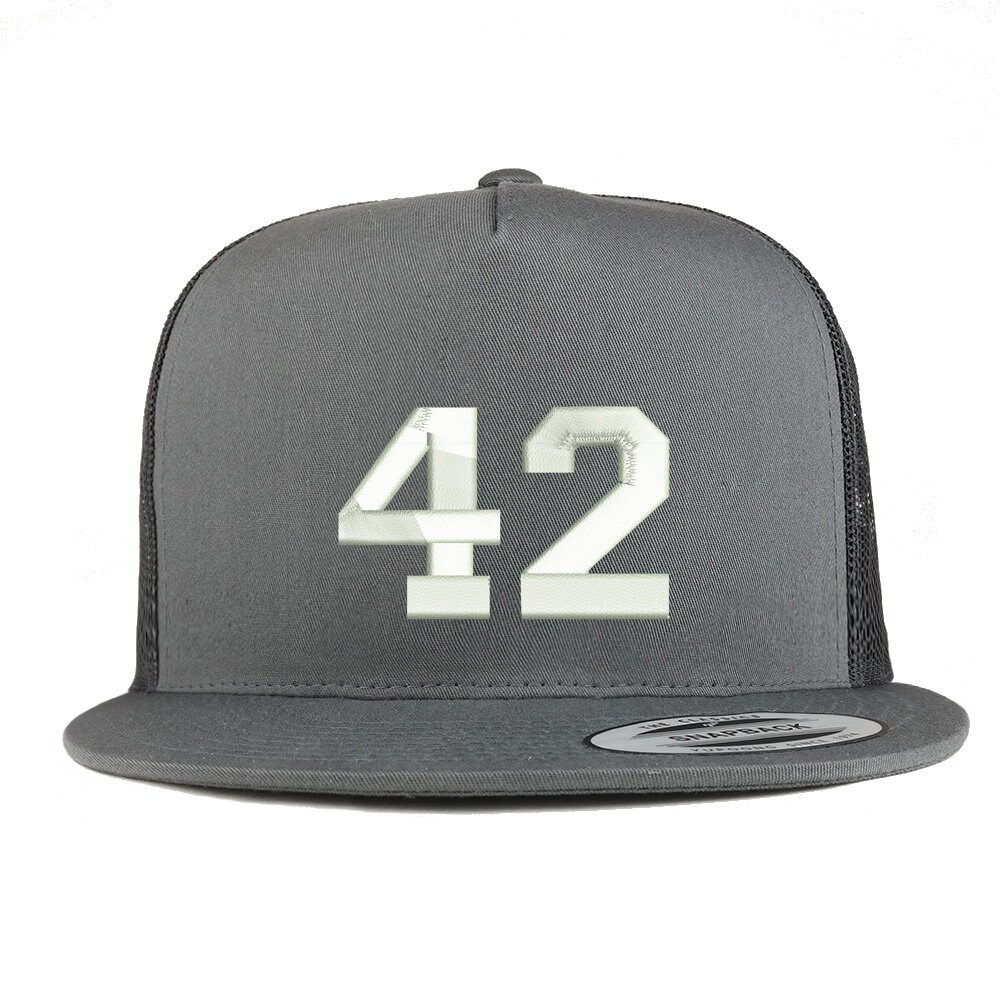 Stitchfy Number 42 Collegiate Varsity Font Panel Flatbill | Etsy