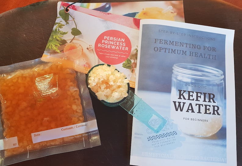 Water Kefir Grains 1/4 Cup - Etsy Australia