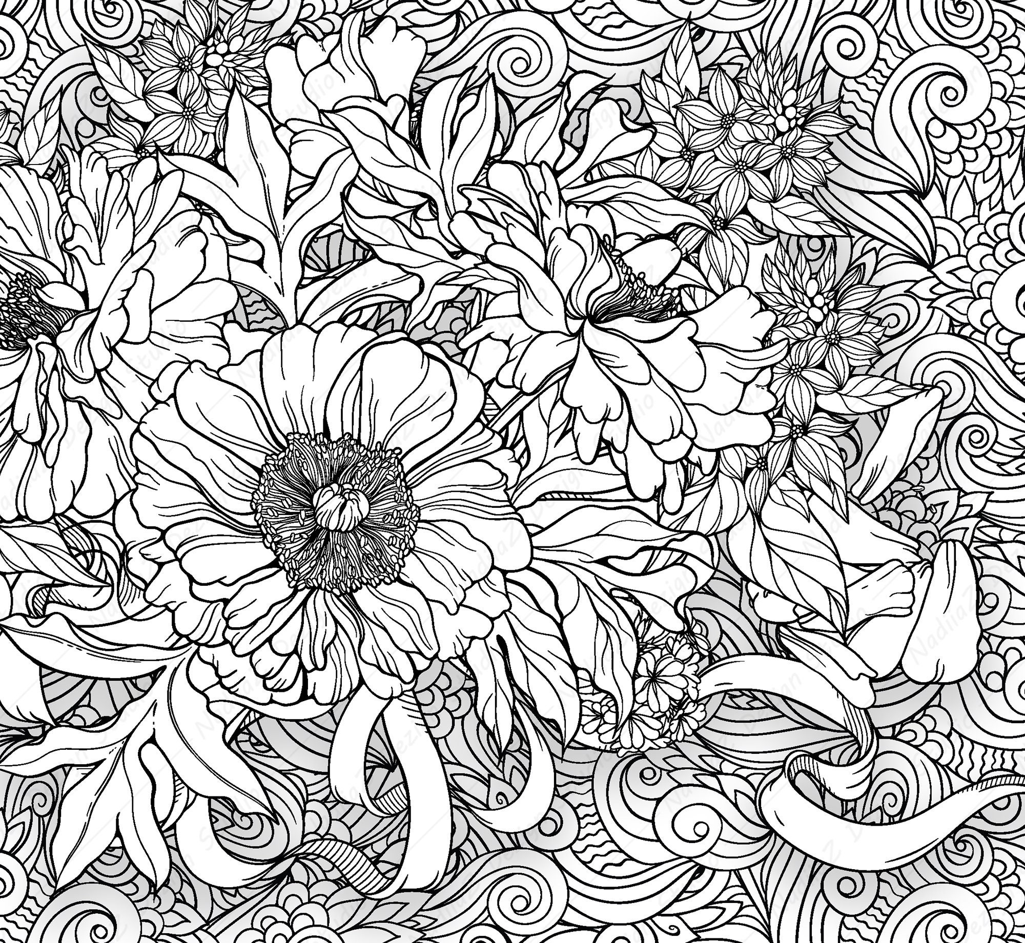Adult Botanical Coloring Page With Peonies Flowers PDF - Etsy