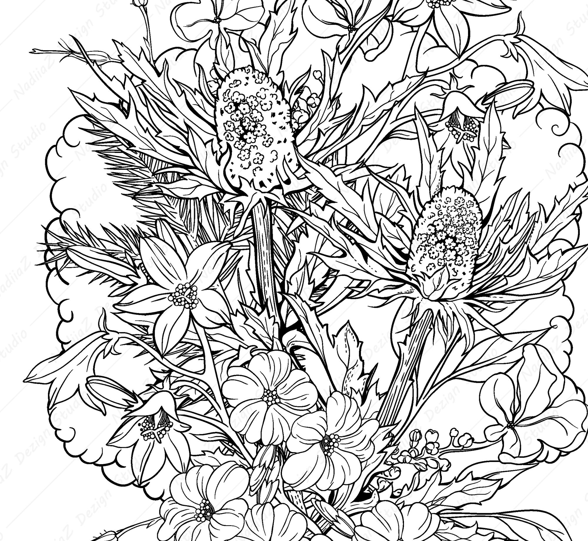 Set 7 of 4 adult botanical coloring pages PDF Printable - Etsy España