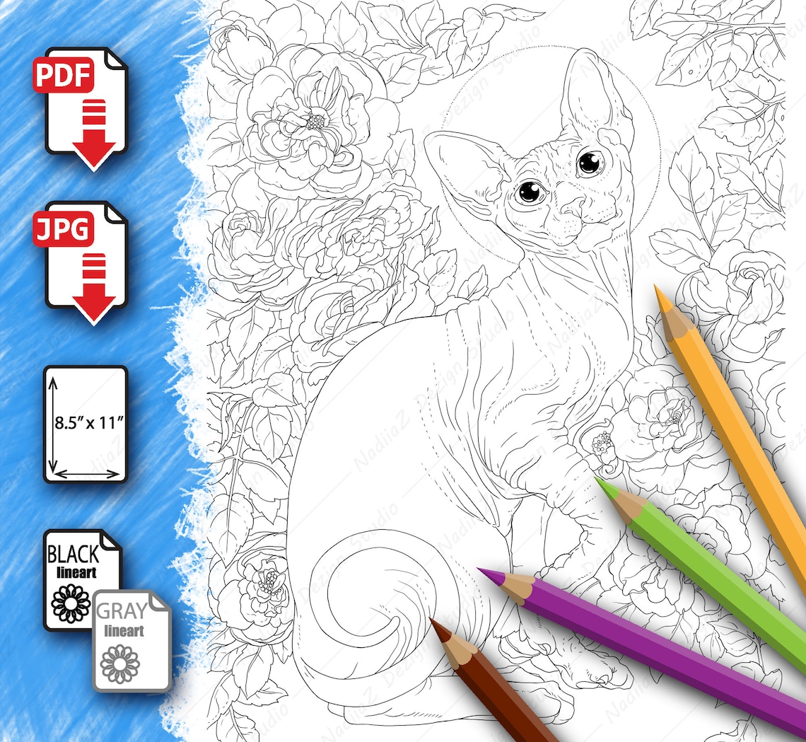 Coloring Page With Cat and Roses PDF Coloring Page Printable - Etsy