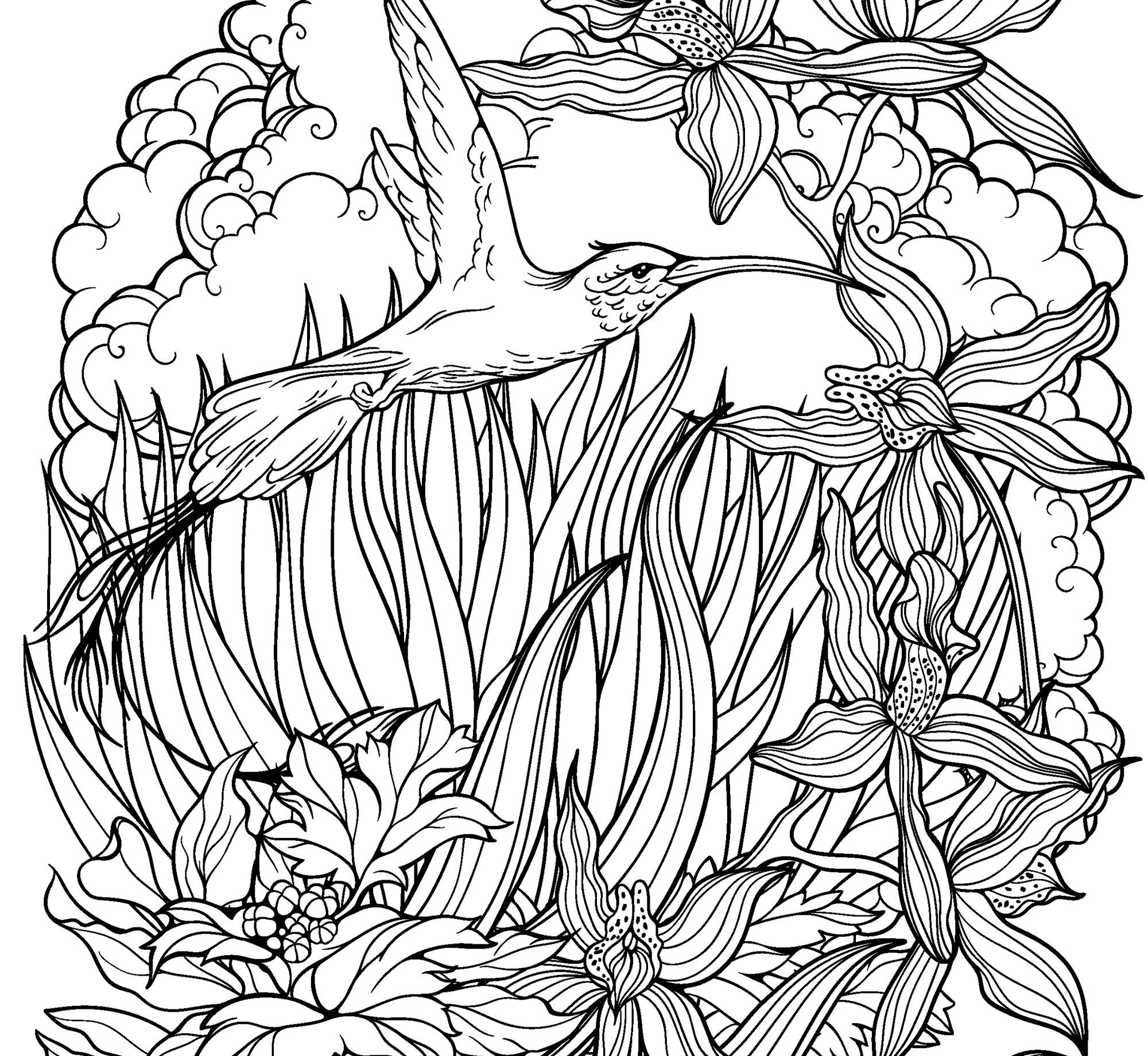 Set 1 of 4 Adult Botanical Coloring Pages PDF Printable - Etsy