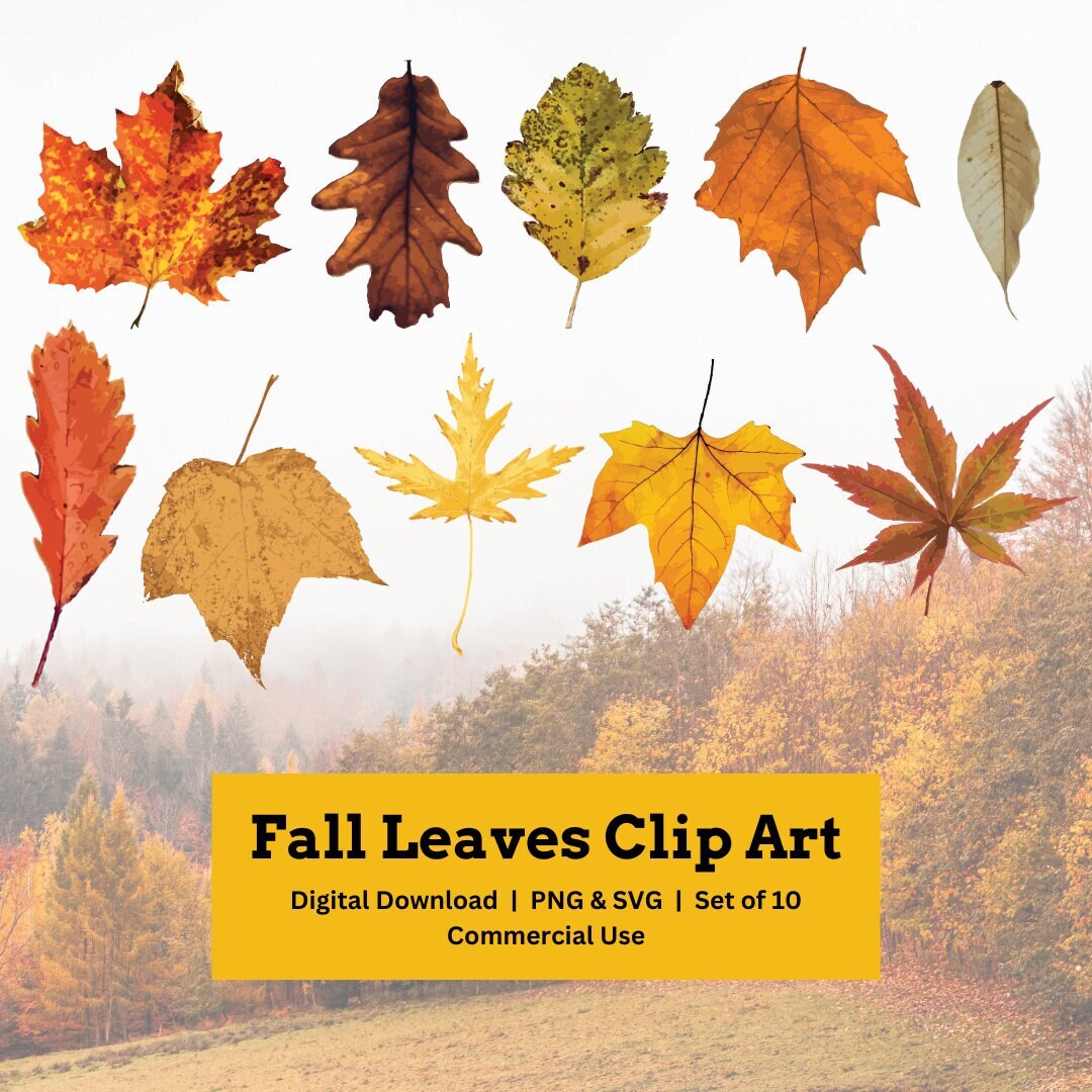 Fall Leaves SVG and PNG Files | Autumn Leaf Digital Download | Instant ...