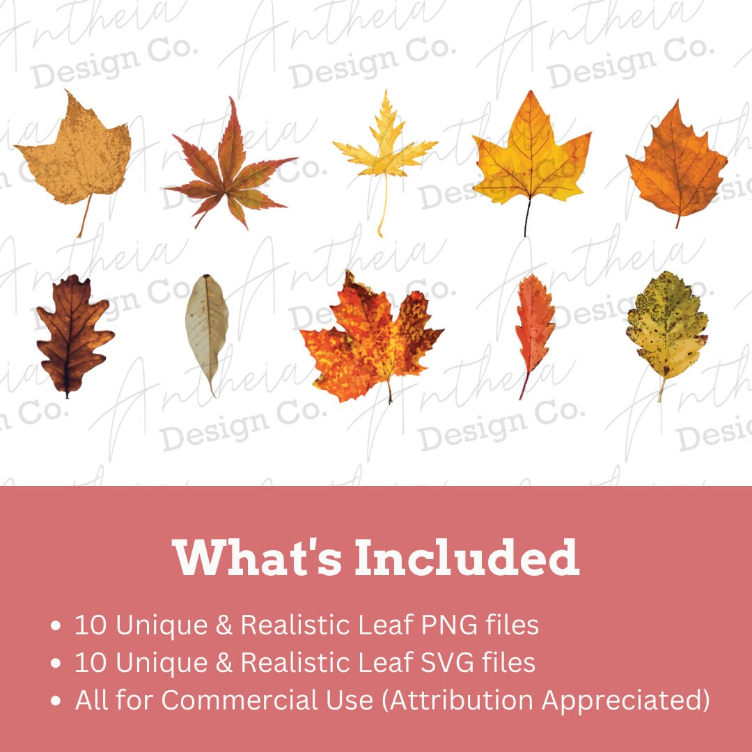 Fall Leaves SVG and PNG Files | Autumn Leaf Digital Download | Instant ...