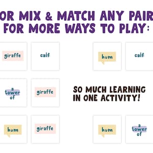 Animal Memory Match Game With Collective Nouns, Baby Names, and Sounds ...