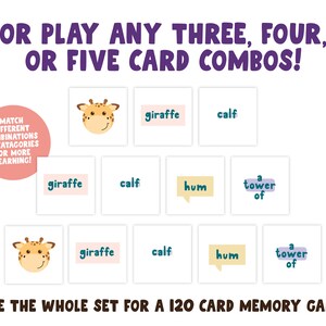 Animal Memory Match Game With Collective Nouns, Baby Names, and Sounds ...