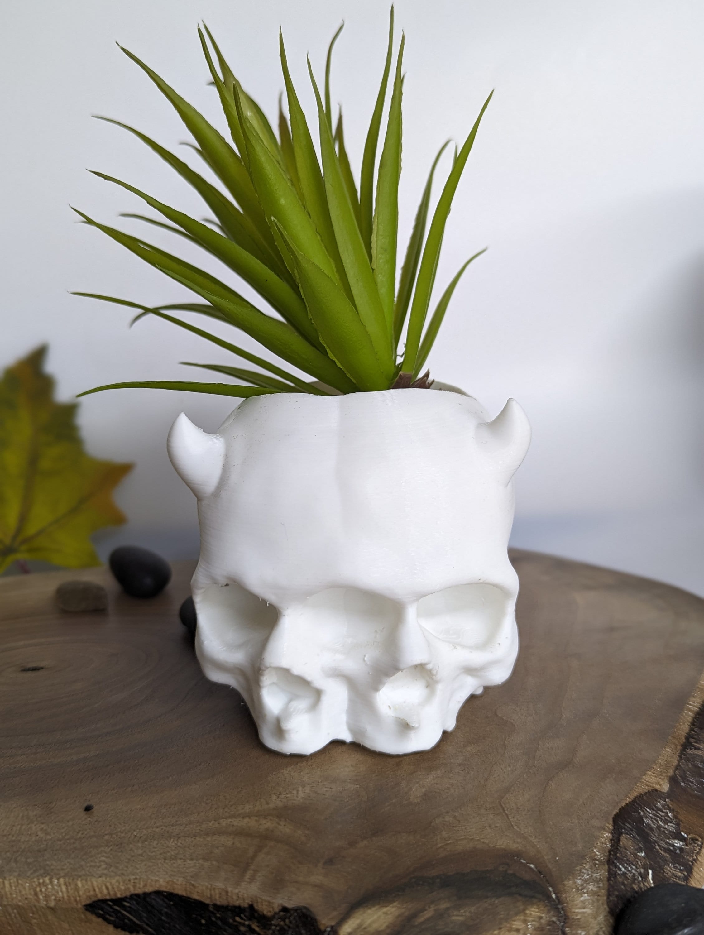 Spooky 3D Printed Triclops Skull Planter for Succulents Cacti - Etsy
