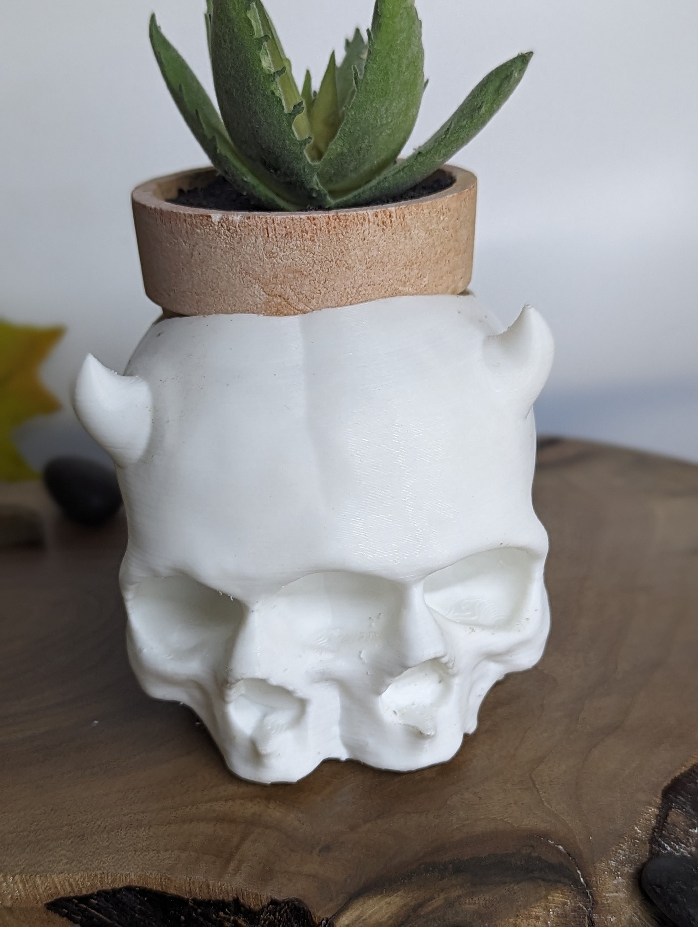 Spooky 3D Printed Triclops Skull Planter for Succulents Cacti - Etsy Spooky 3D Printed Triclops Skull Planter for Succulents Cacti - Etsy