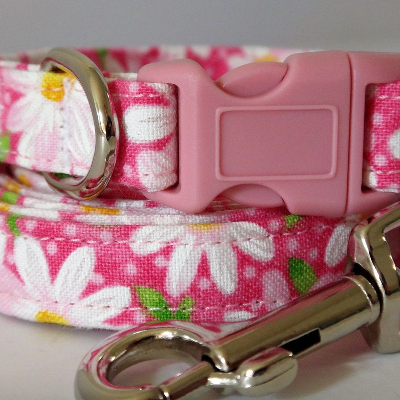 Small Dog Collar - Etsy