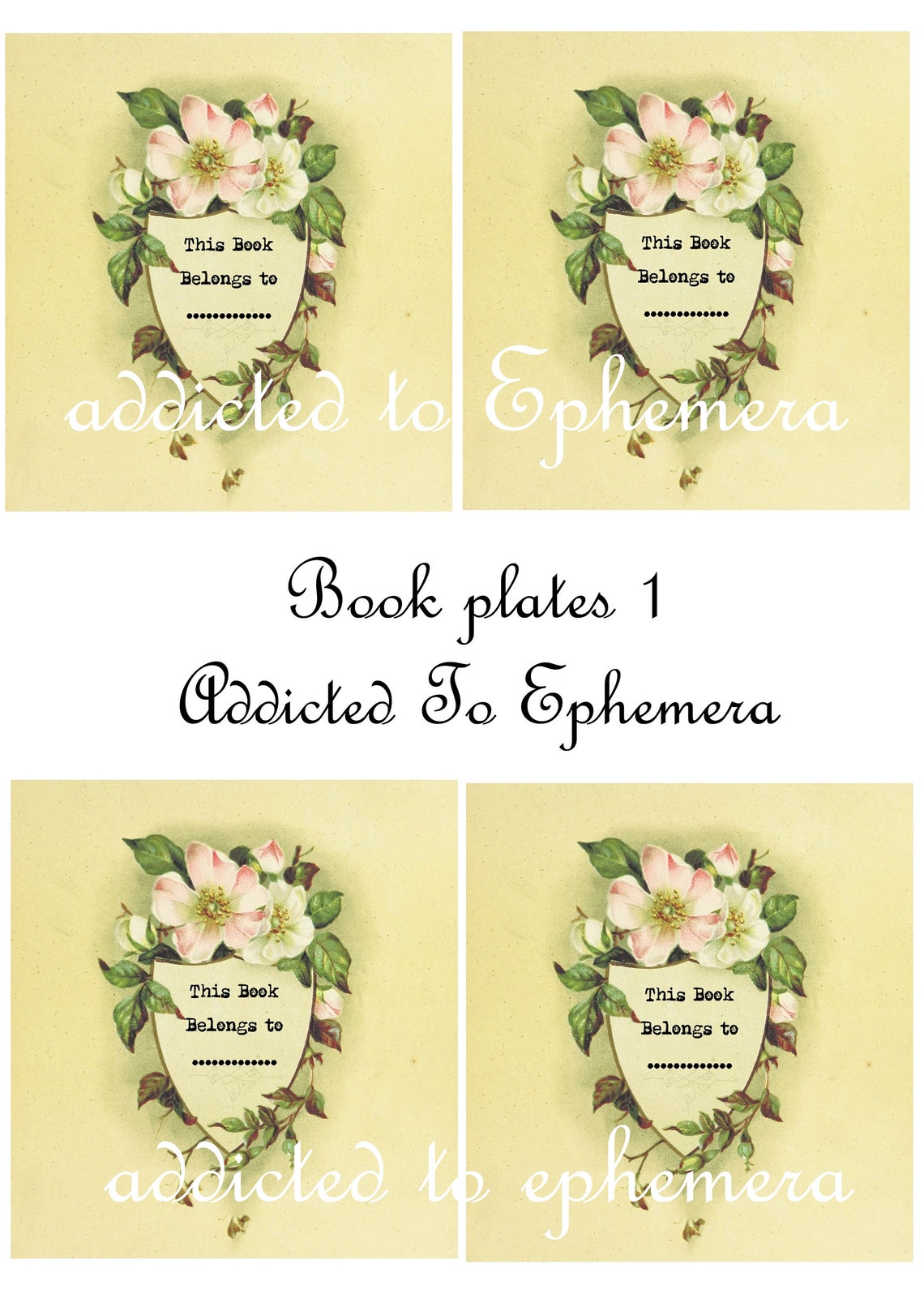 This Journal/book Belongs to Printable Book Plate Junk Journal - Etsy