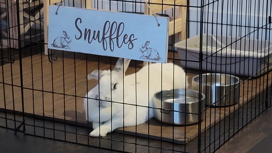 Wood Etched Personalized Pet Crate Name Sign Bunny Dog Cat Kennel ...