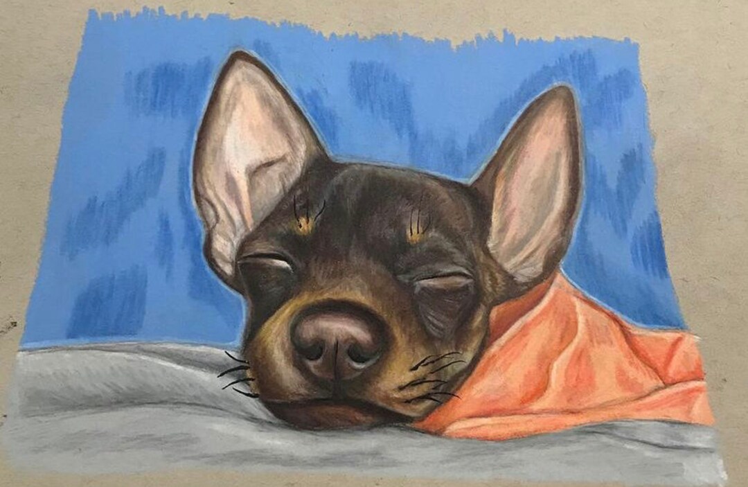 Custom Colored Pencil Drawing / Pet Portrait - Etsy